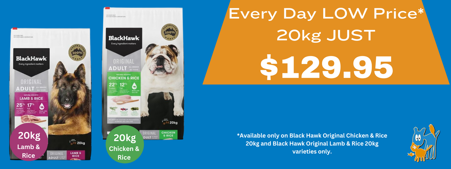 Pets Unleashed | Best Pet Products