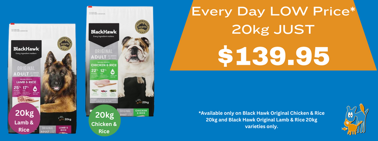 Pets Unleashed | Best Pet Products