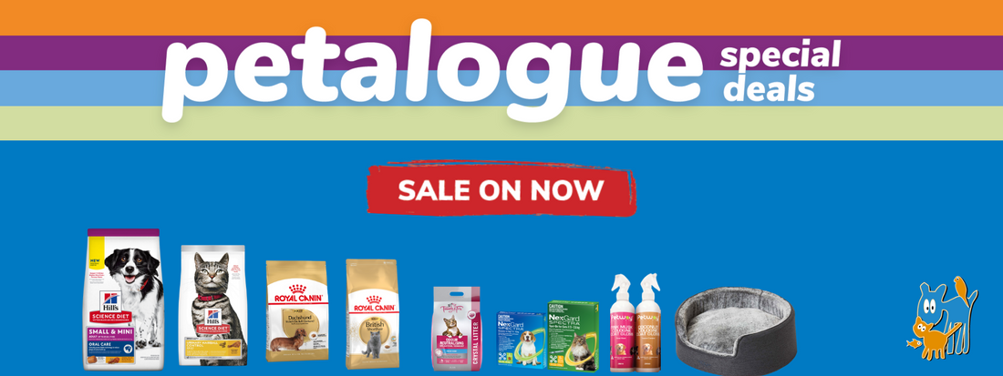 Pets Unleashed | Best Pet Products